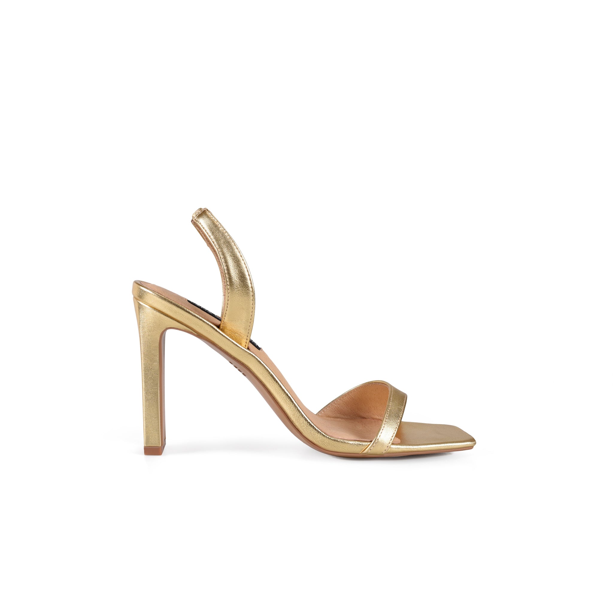 ALL – Page 3 – Lana Wilkinson